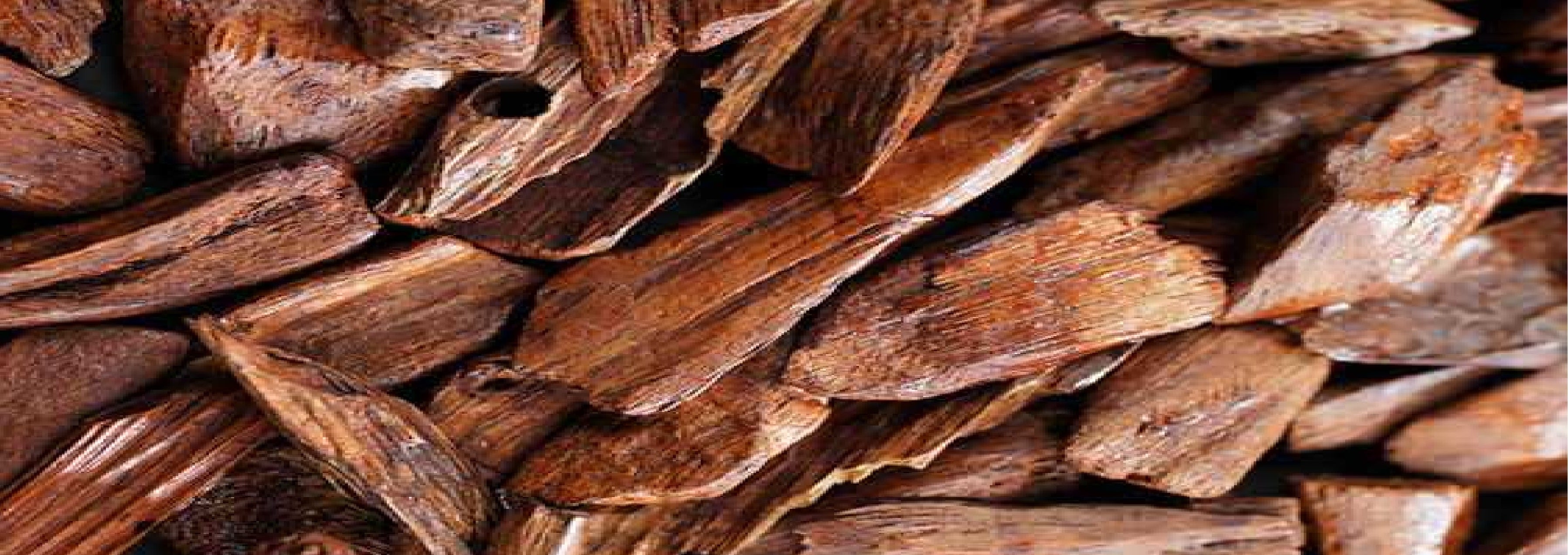 Oud Stick – Naseem Perfume - UAE