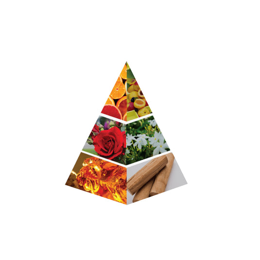 Burhan Aqua Parfum 80 ML | Naseem Perfume UAE – Naseem Perfume - UAE